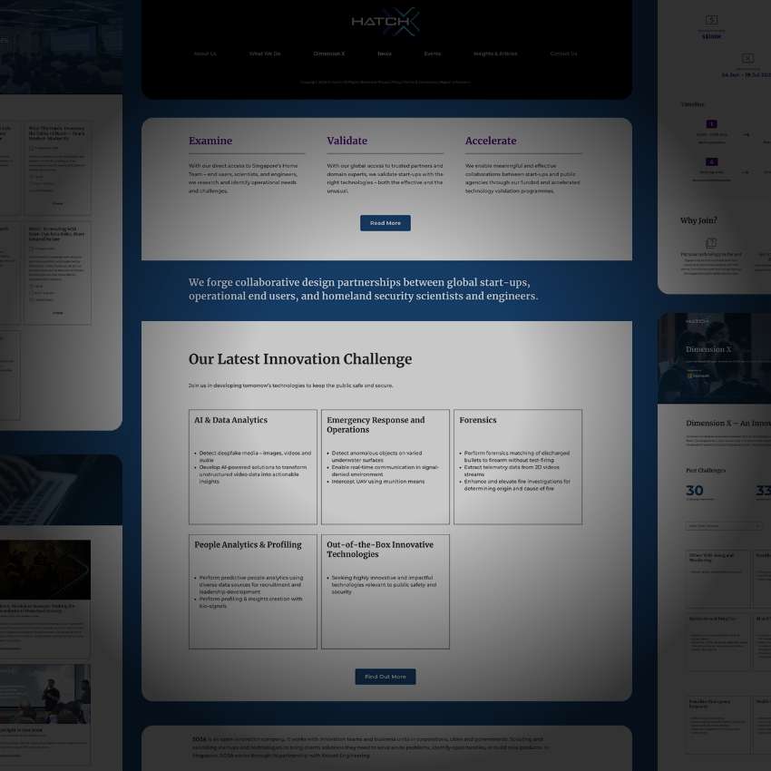 Web Design ad Development Project | The Hatchx