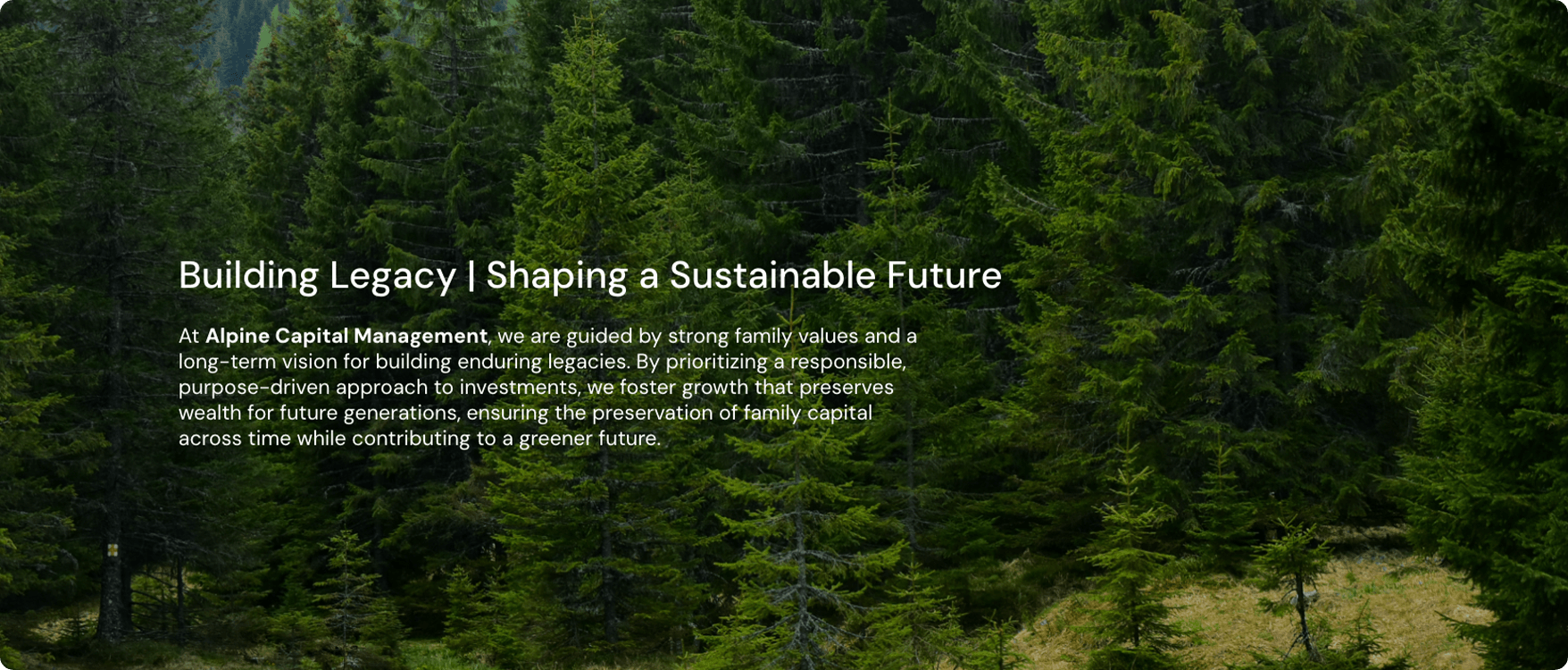 Web Design and Development Project | Alpine Management Capital
