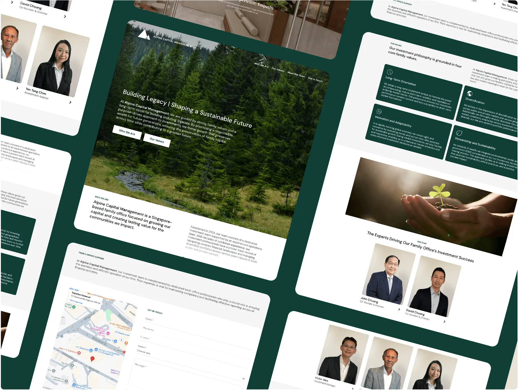 Web Design and Development Project | Alpine Management Capital